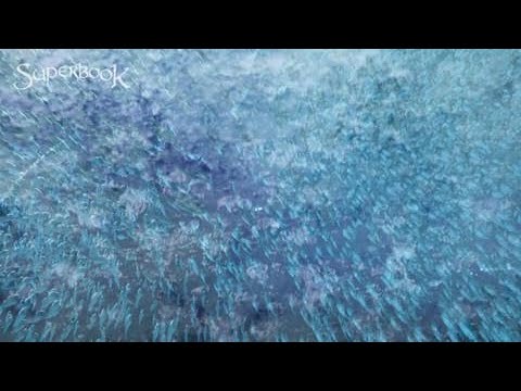 In The Beginning - Genesis 1